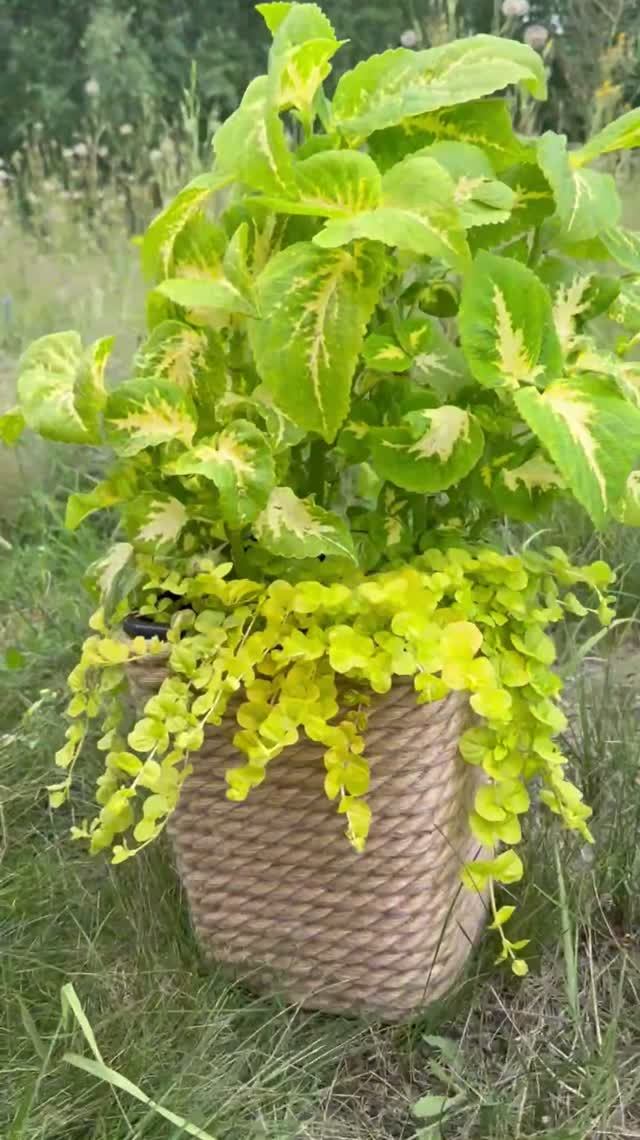 Своими руками