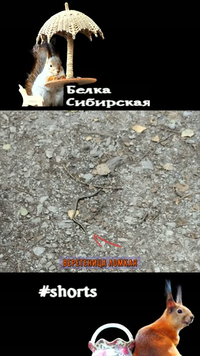Путешествие на Урал
