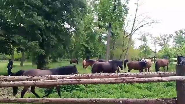 Польша