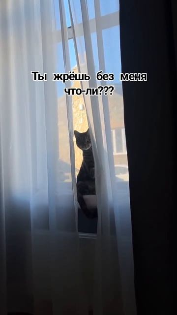 Юмор