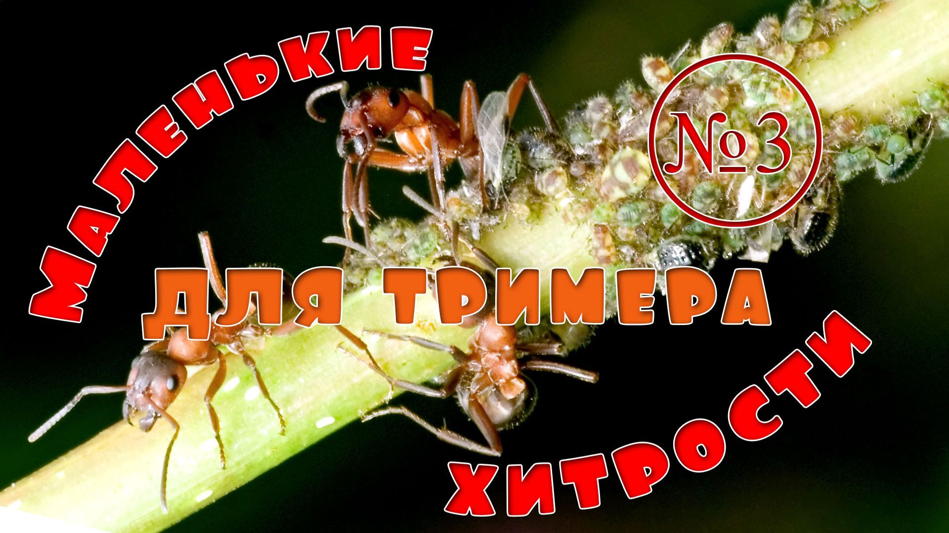 Разное