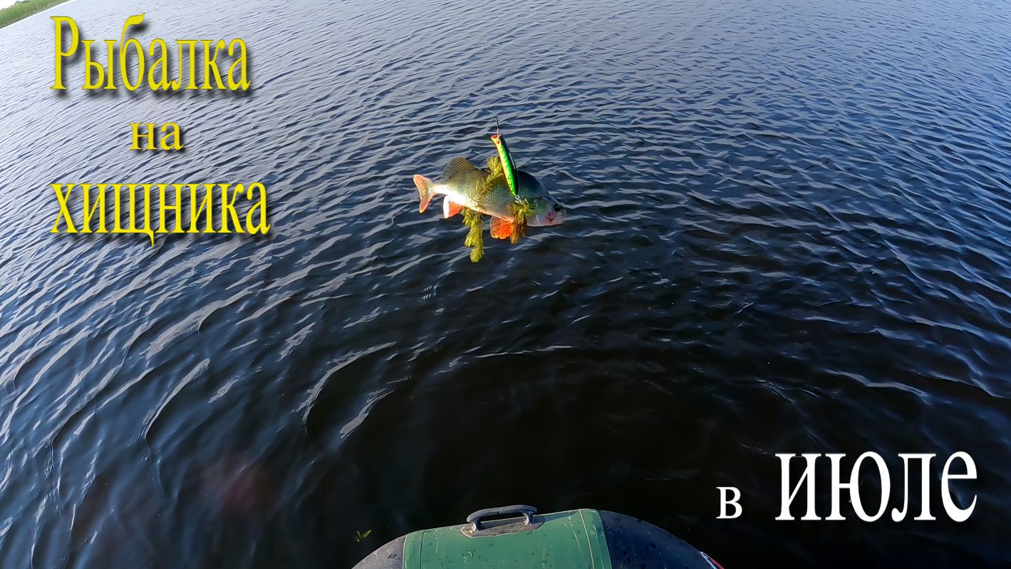 Рыбалка на хищника