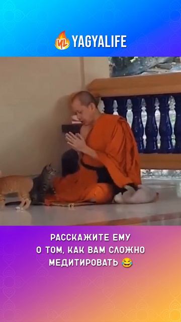 Юмор