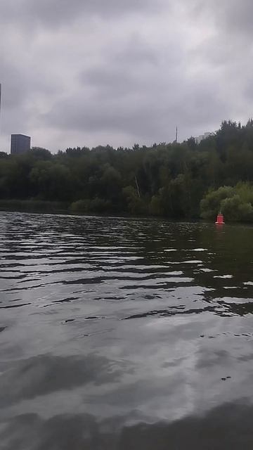 НАШИ ПРОГУЛКИ и ЗАНЯТИЯ!