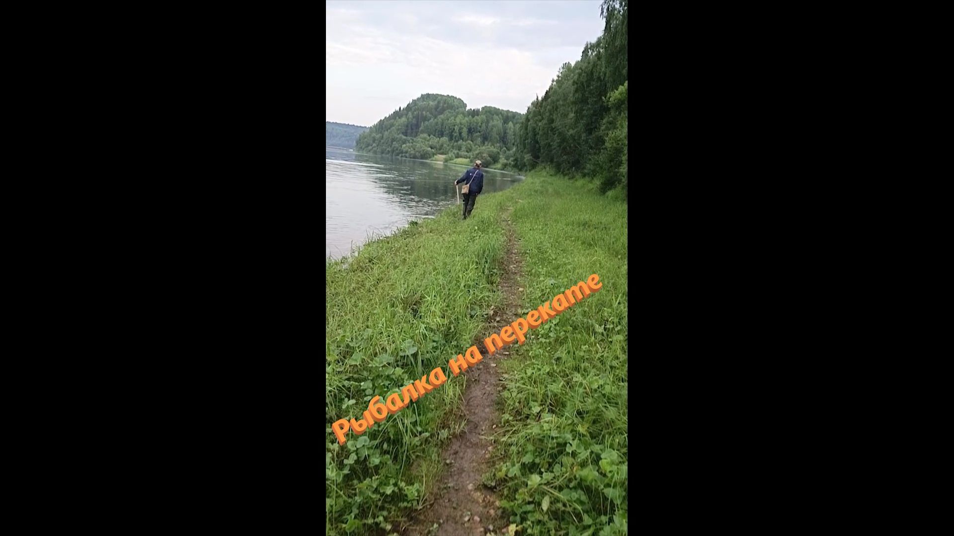 Домашнее видео