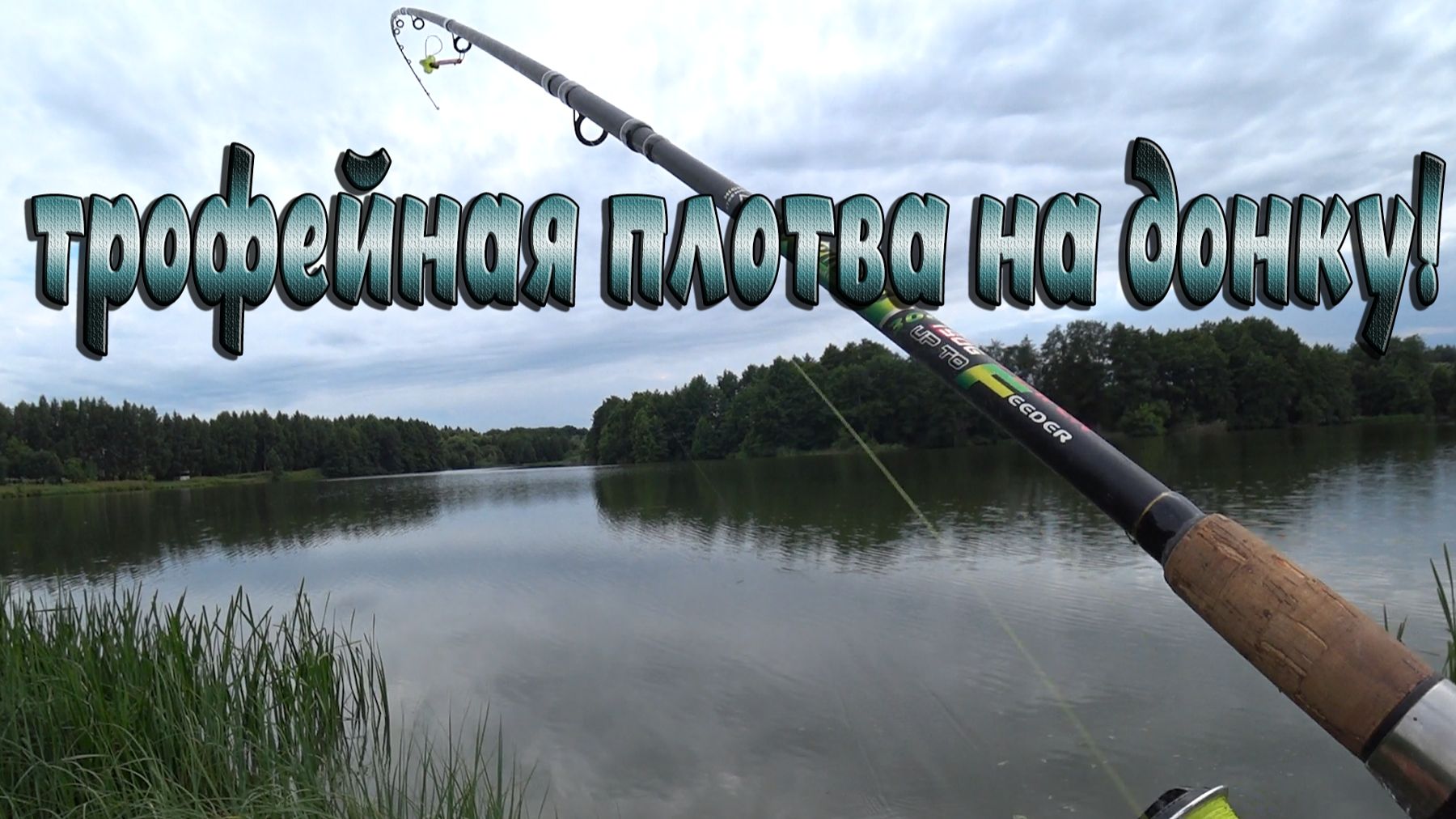 Рыбалка