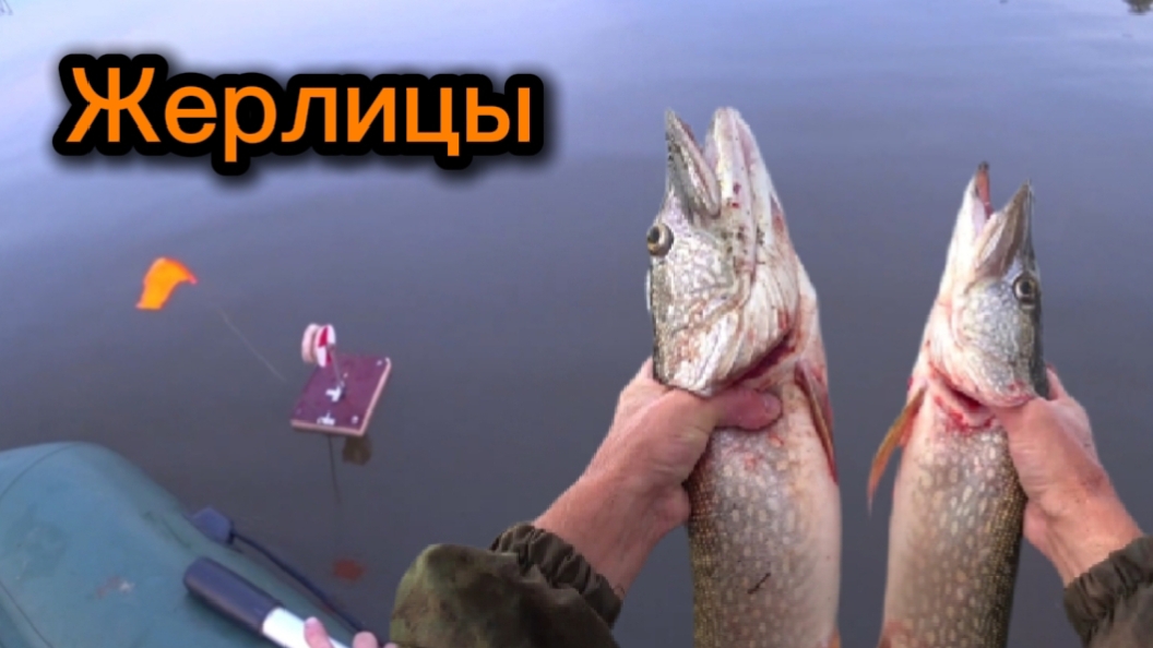 Летняя рыбалка