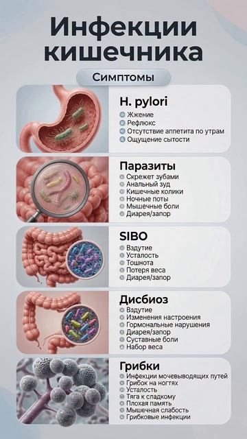 Полезные советы для быта