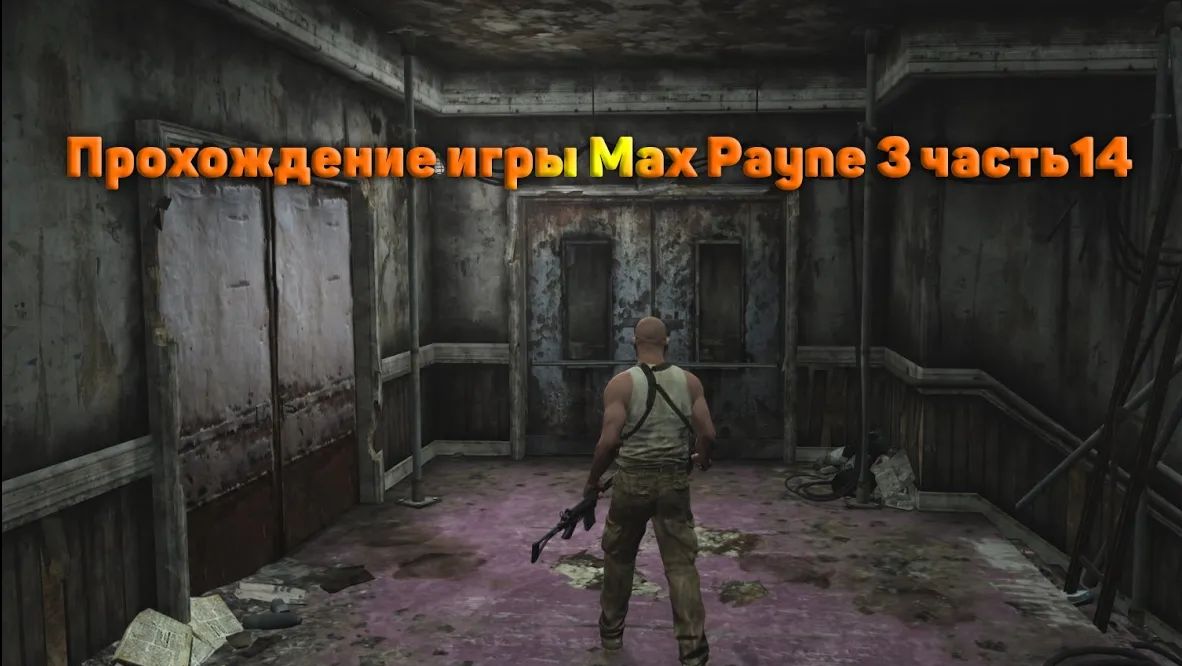 Max Payne 3