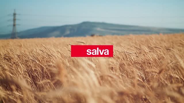 «Комплексные решения для пищевого производства