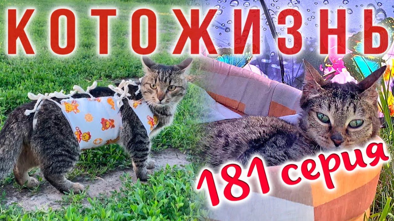 Вспомогательный