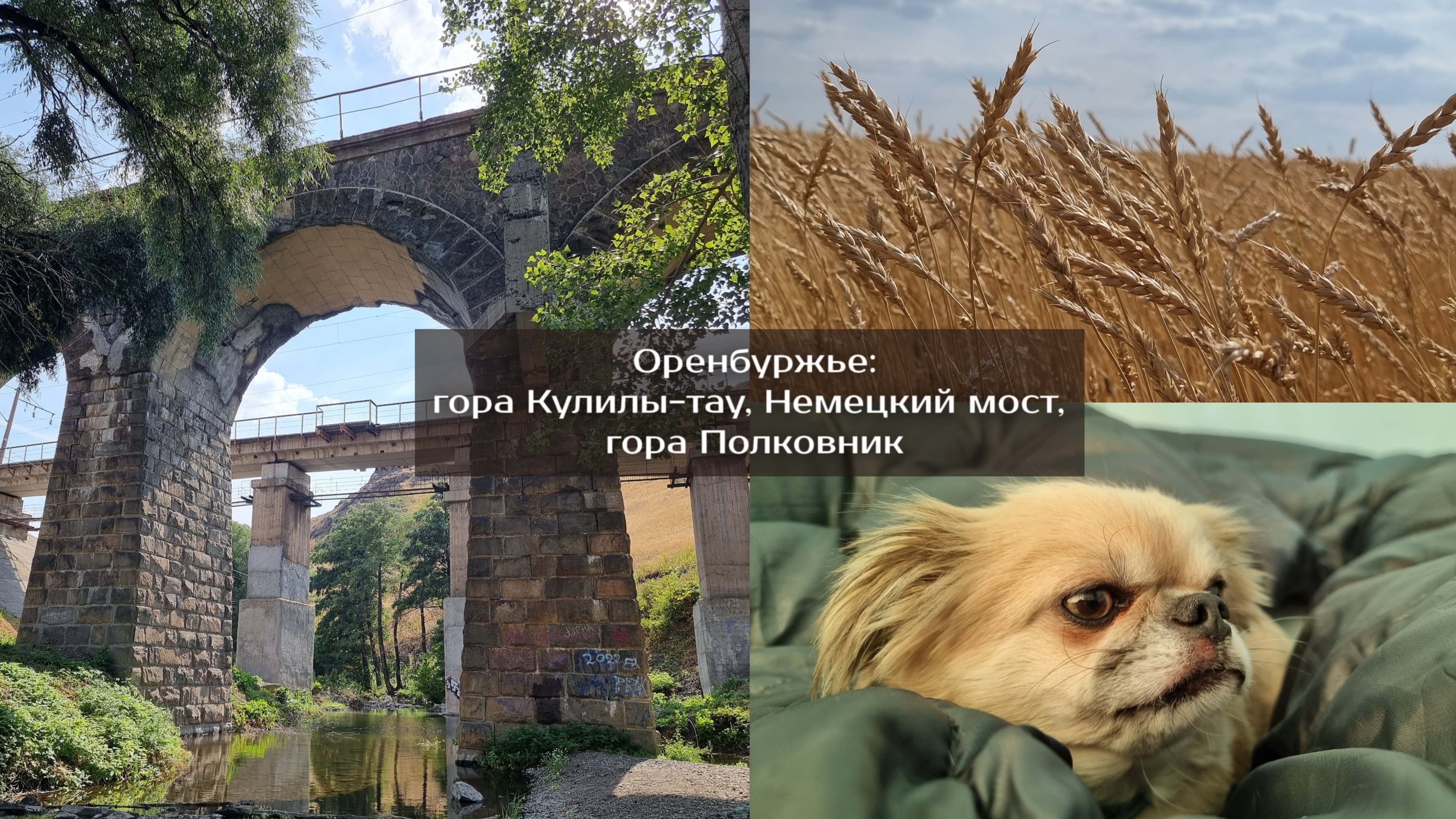 Оренбуржье