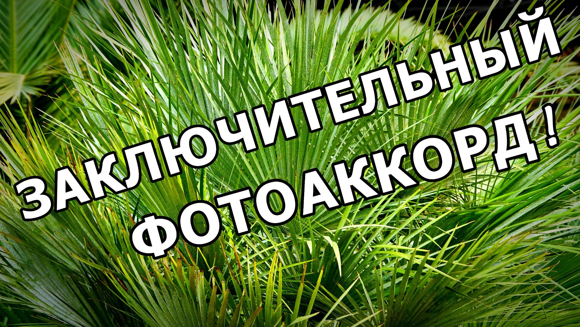 ОТПУСК В НОЯБРЕ 2025 СОЧИ