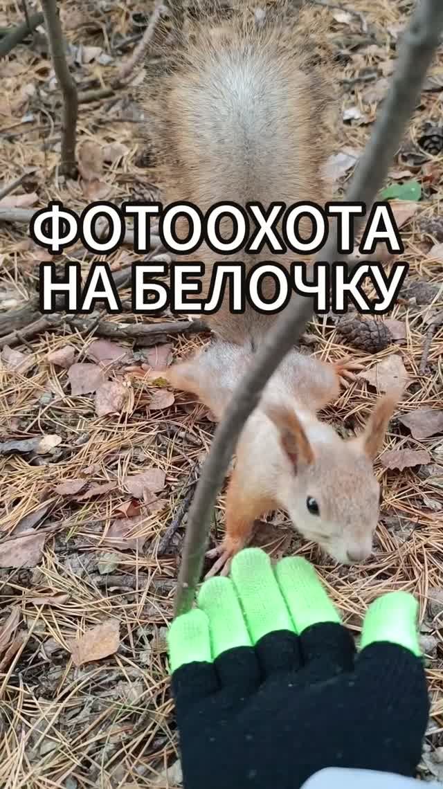 Путешествия