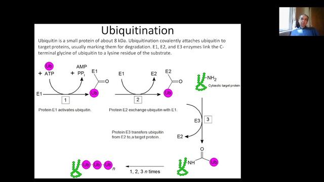 Molecular and Cell Biology (2025)