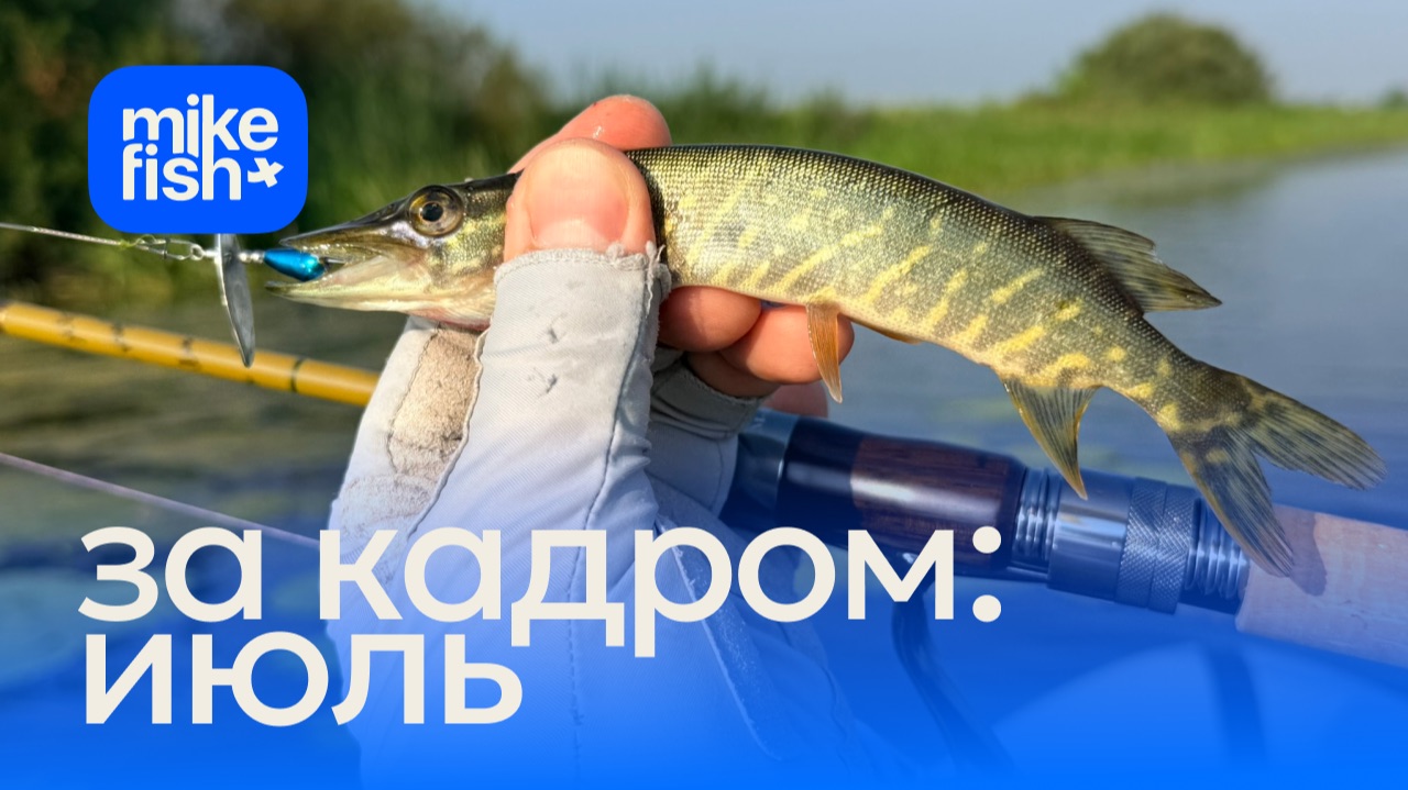 Рыбалка на хищника