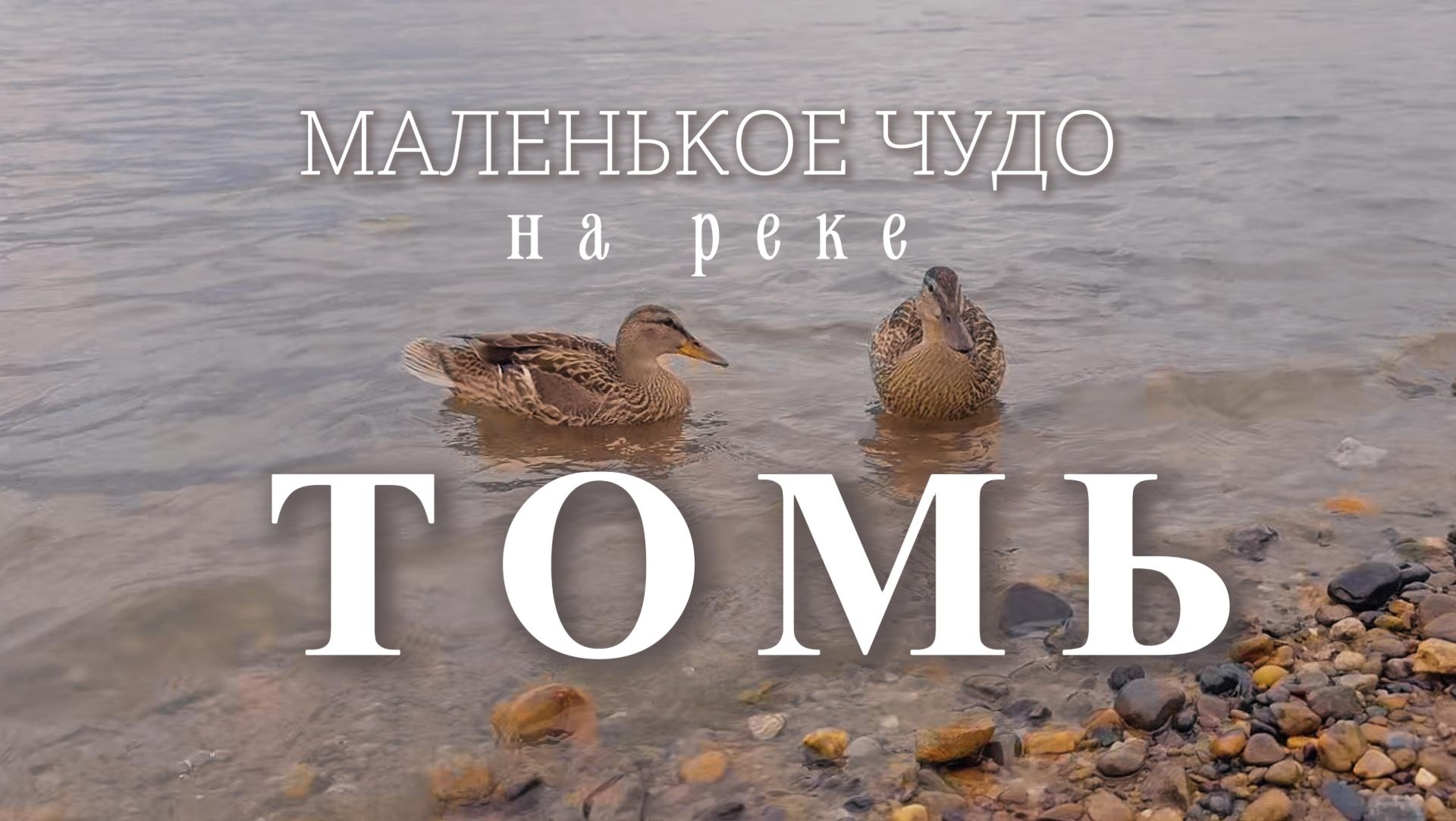 Природа Сибири. Кузбасс.