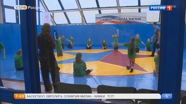 2017 год