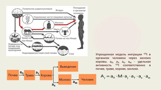 Радиационная безопасность. Лекция 3. Дозиметрия ионизирующих излучений