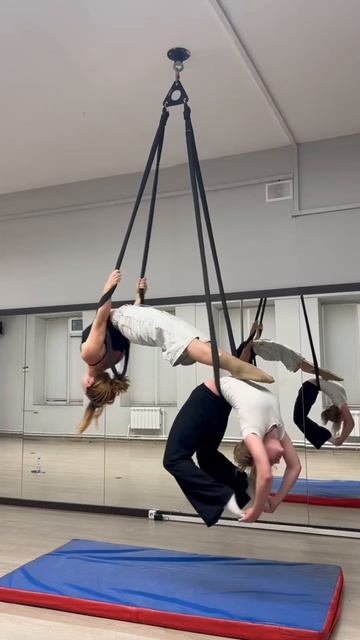Aerial Straps (Loops) Duo/Воздушные ремни дуэт