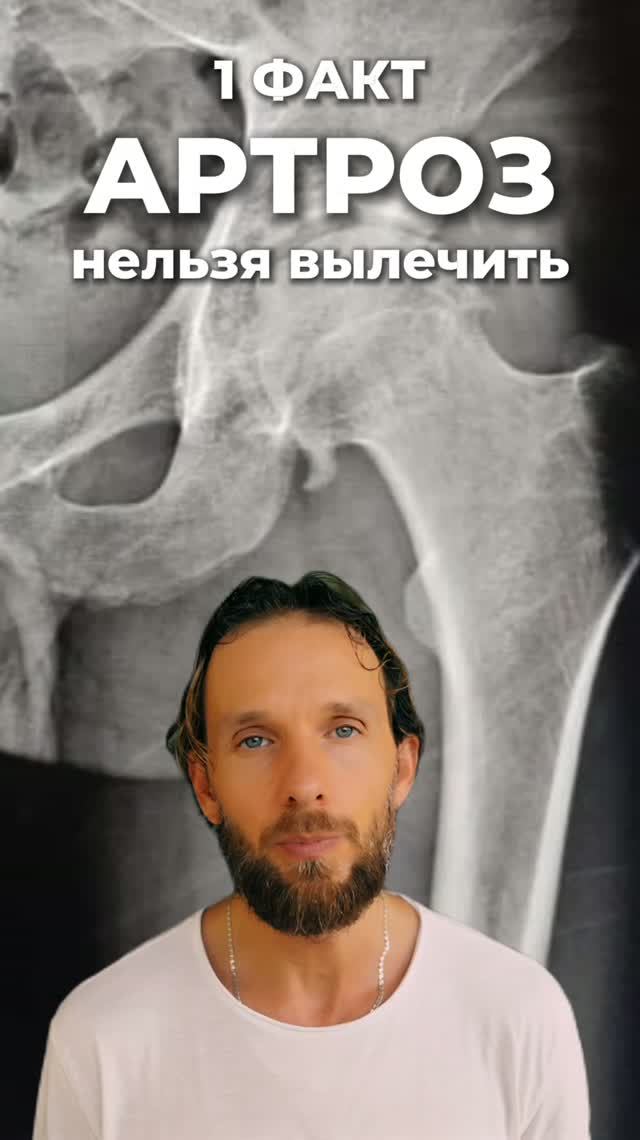 Рилсы