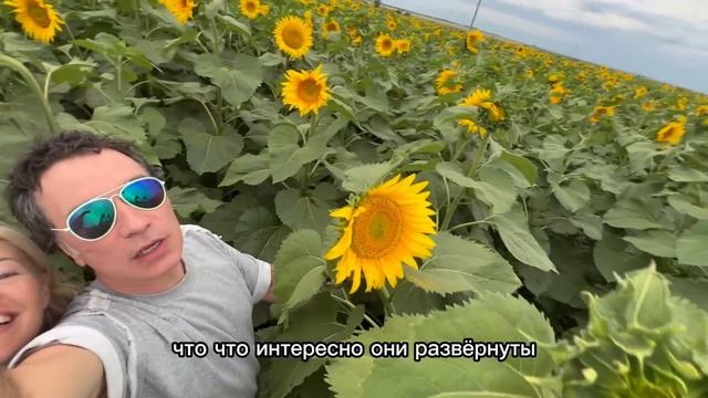 Музыка
