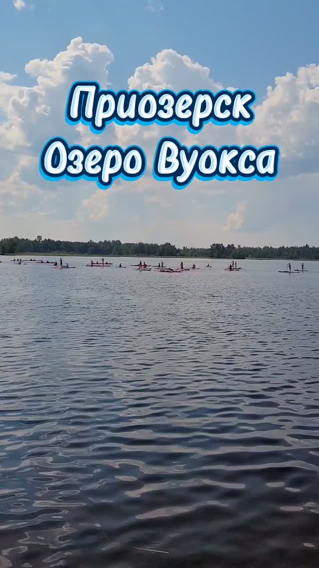 shorts Карелия 2025