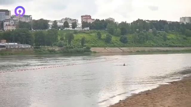 Наши ролики