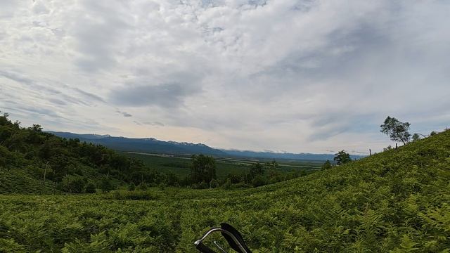 Сопка горелая, пиначевский кордон