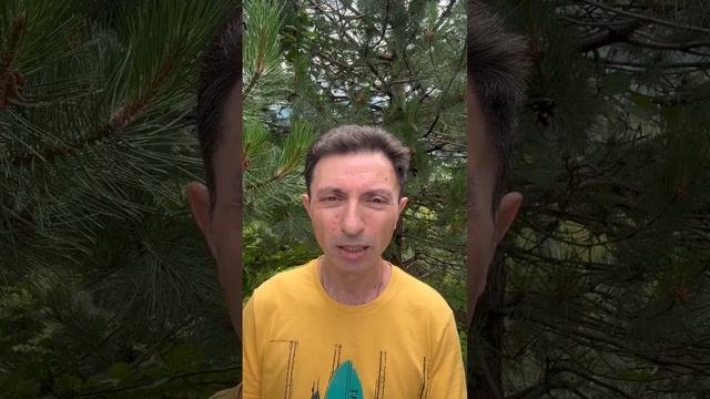 РАЗМЫШЛИЗМЫ неБУДДЫ