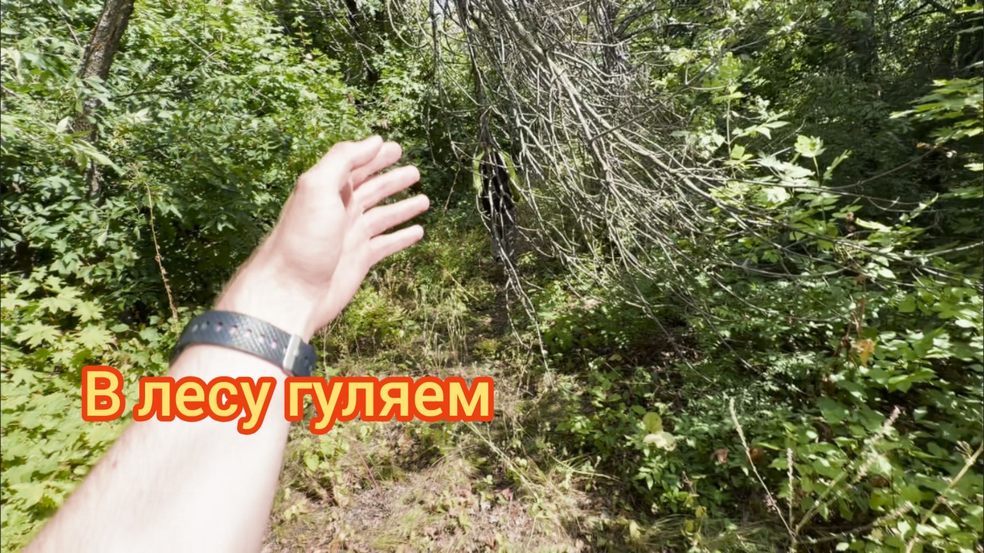 Все мои видео на канале