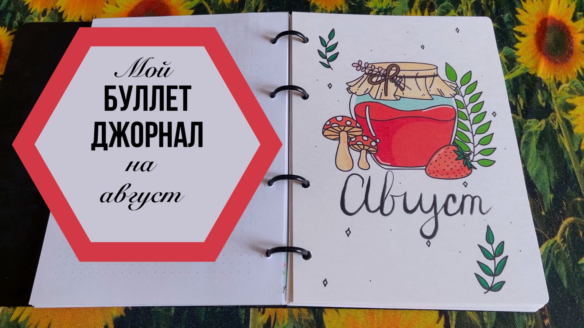 Мои Ежедневники:
