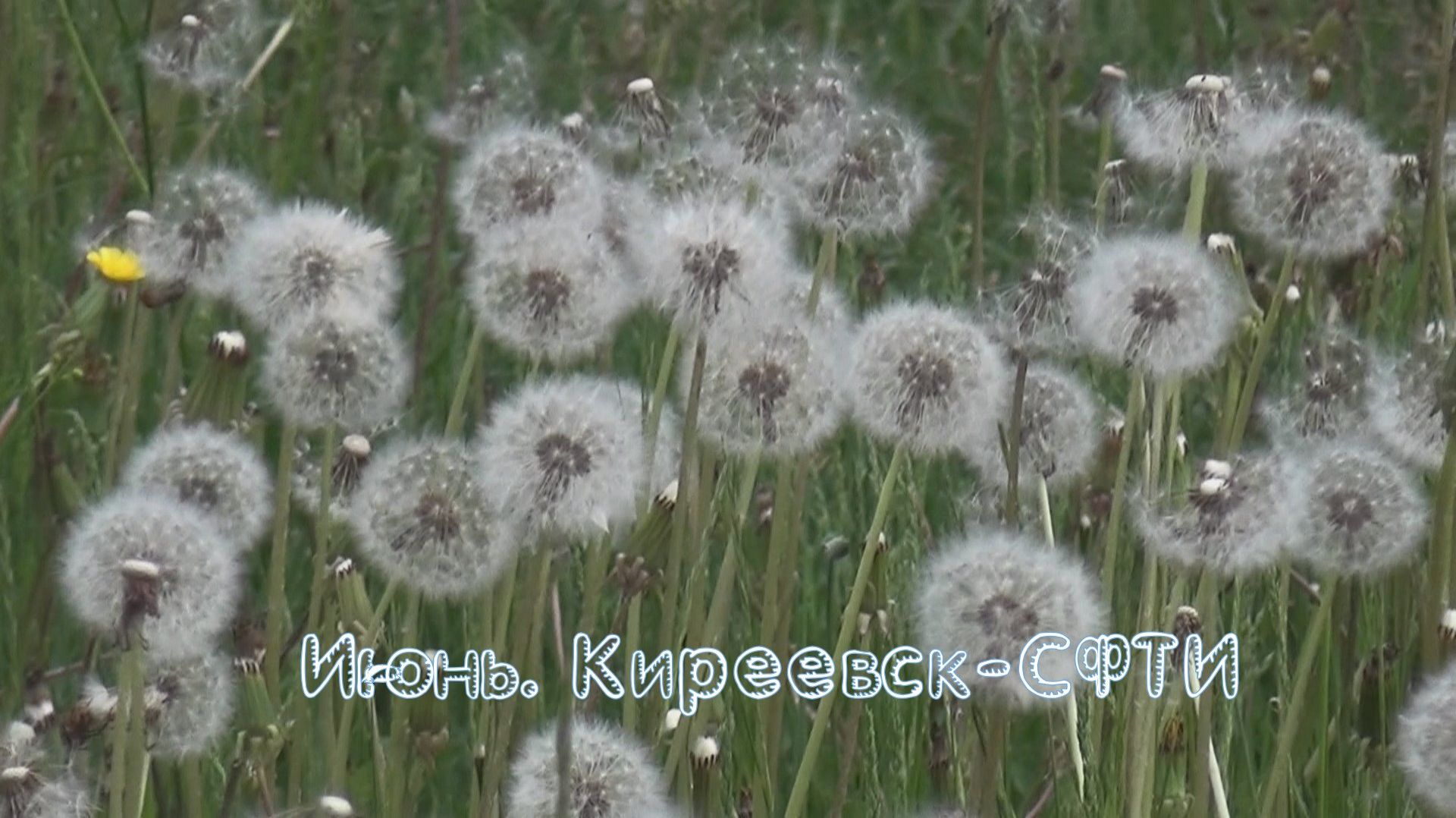ДЛЯ ДУШИ