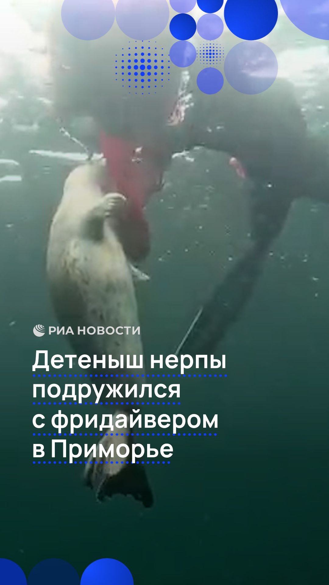 Интересное