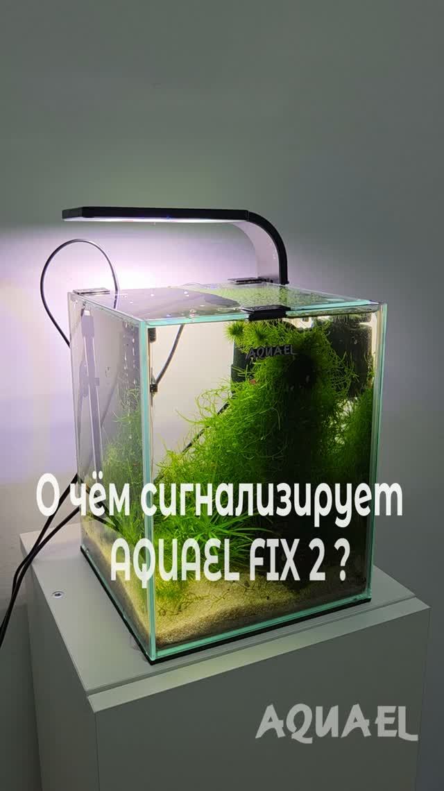 Техника AQUAEL