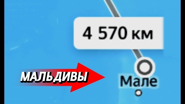 Баку, Тодду, Шри-Ланка, Индия 2025