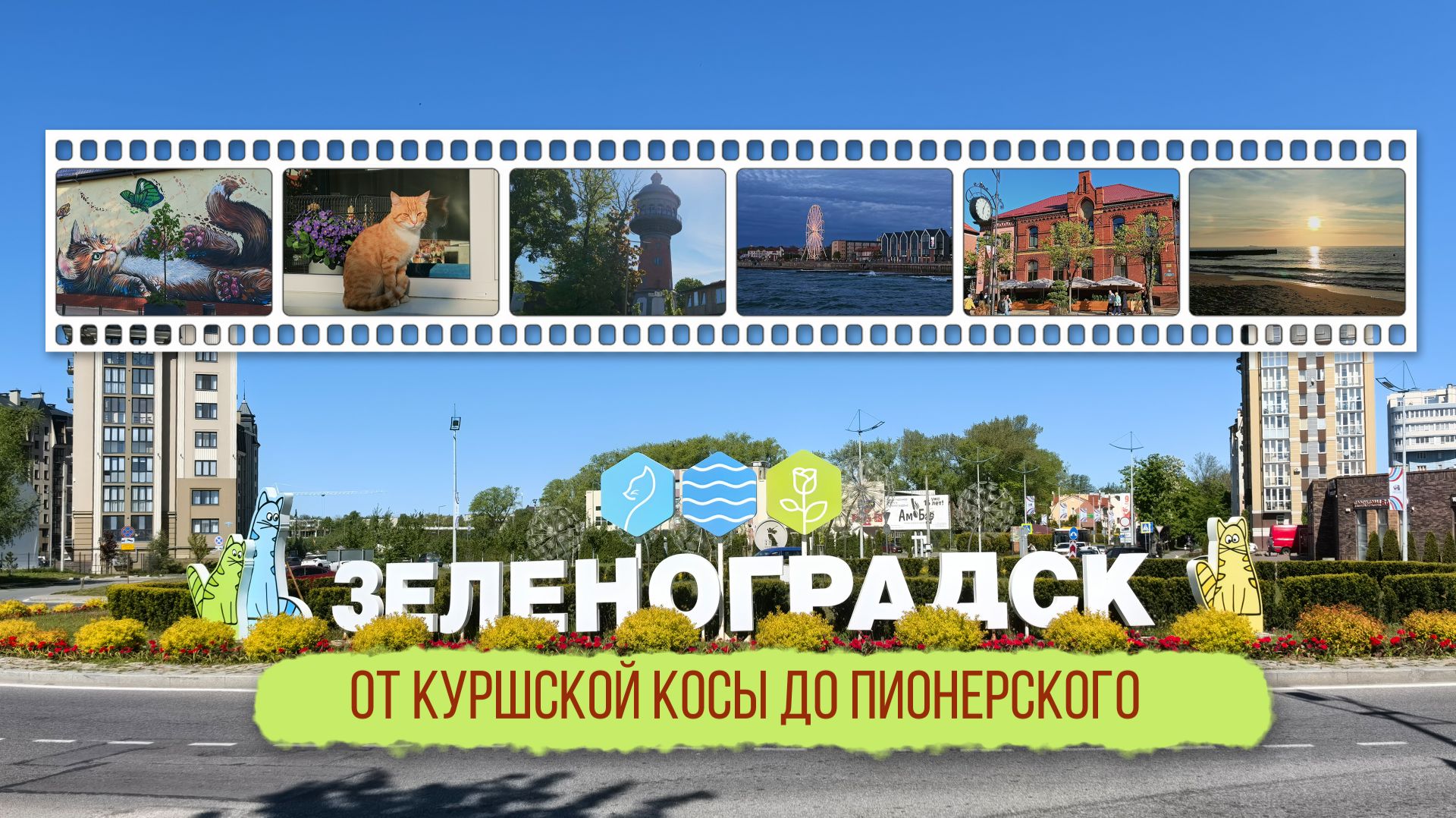 Путешествия
