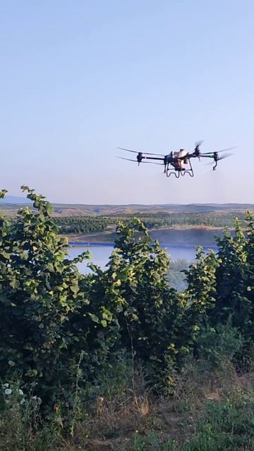 Агродроны DJI