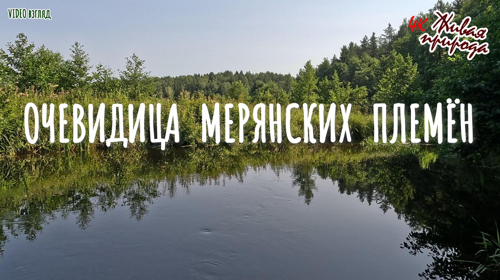 Живая природа