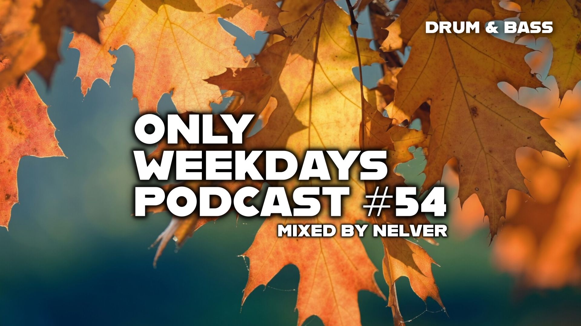 ONLY WEEKDAYS PODCAST (MIXED BY NELVER)