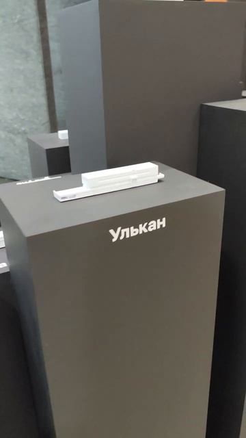 Выступления