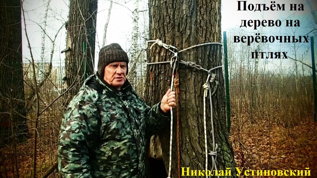 Подъём на дерево