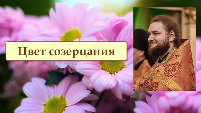 Проповеди 2019