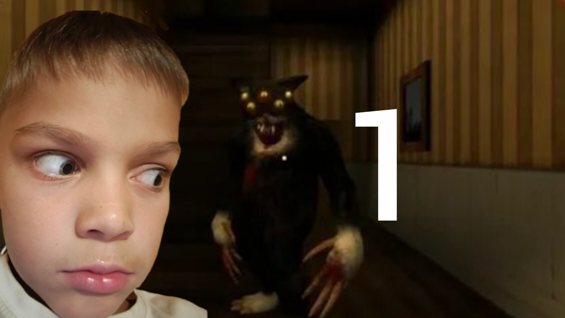cat fred:evil pet