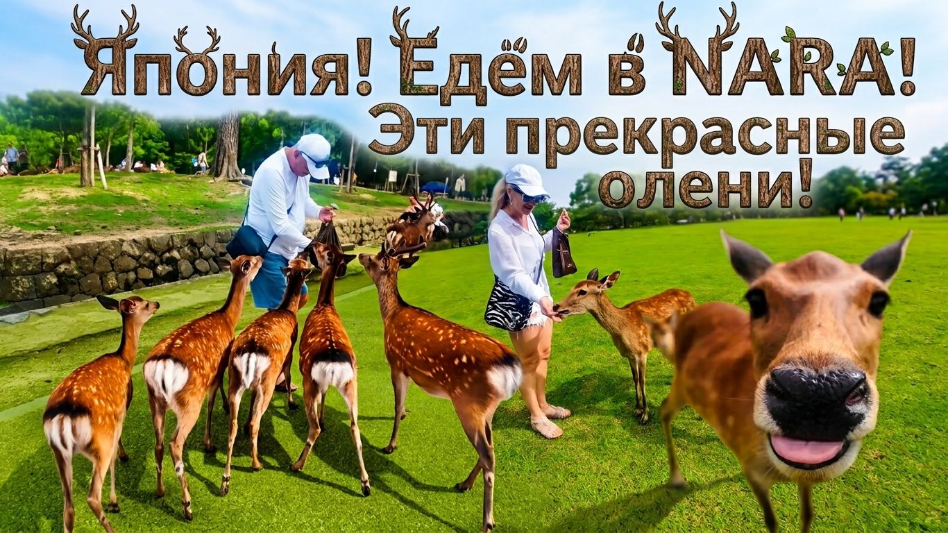 Япония