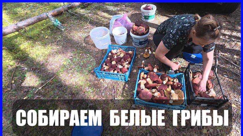 Сельские будни. Деревенский быт.