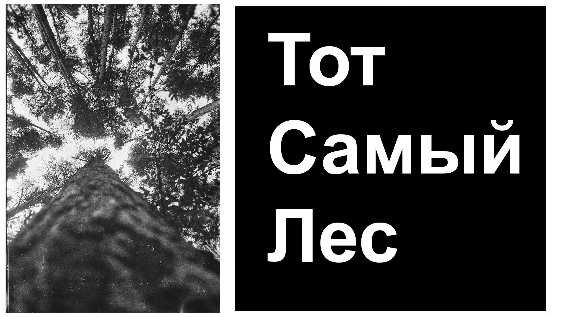 Фотоаппараты