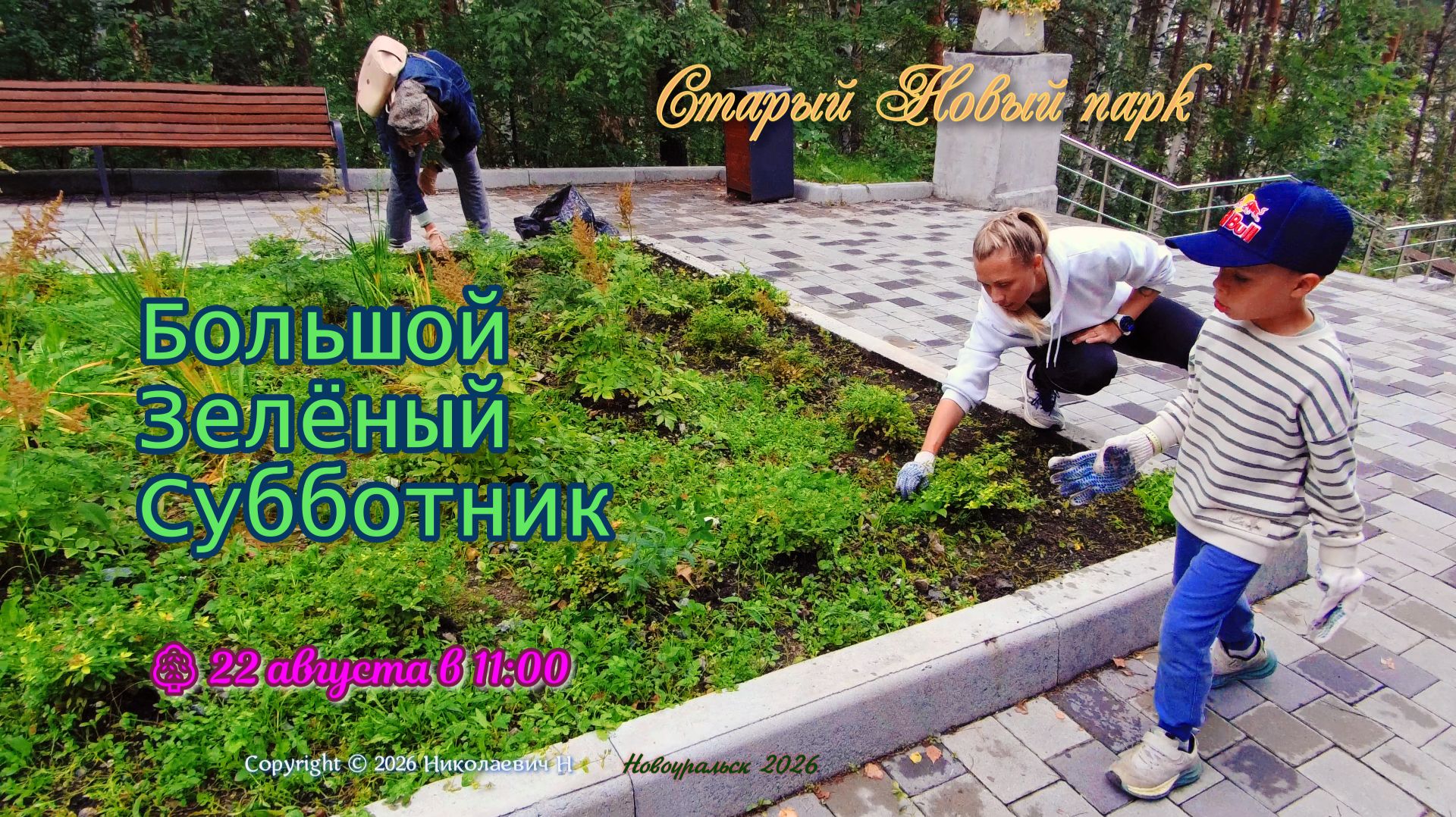 путешествия