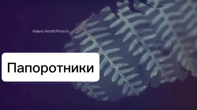 Ботаника