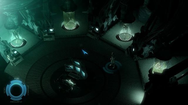 STASIS